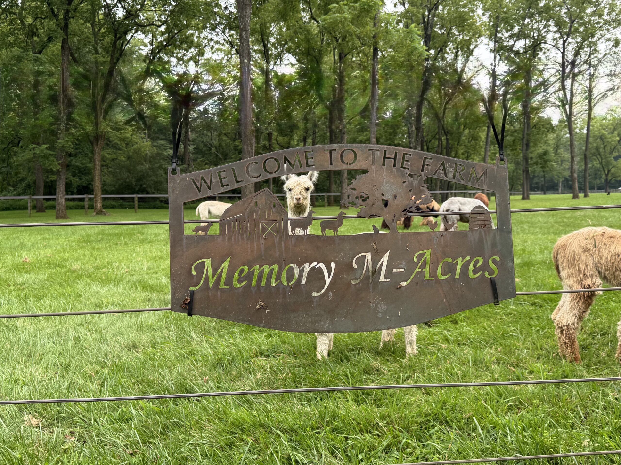 Memory Macres at ILoveAlpacas.com